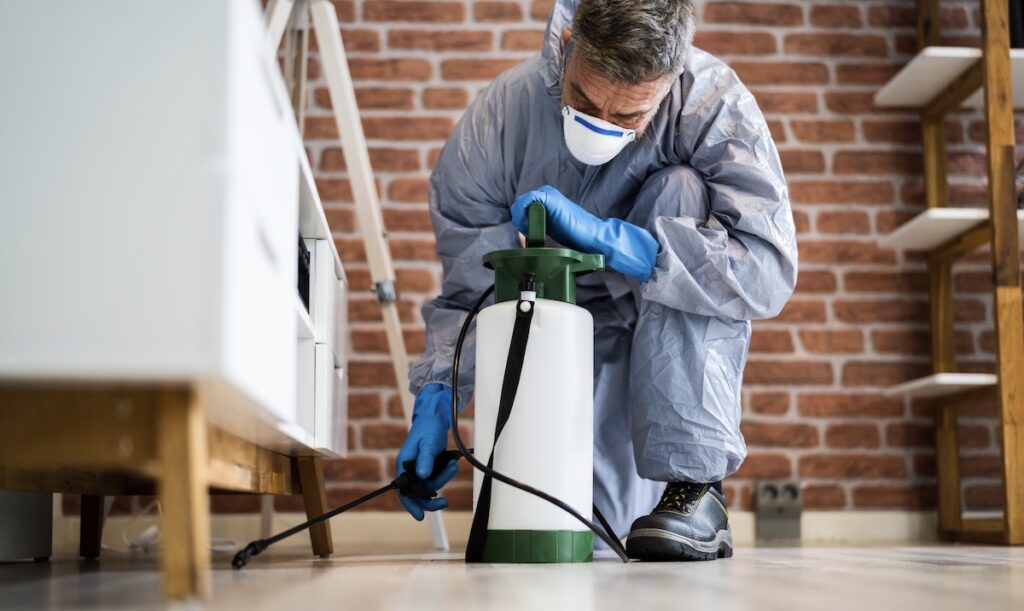 Homepage - Stop Pest Control